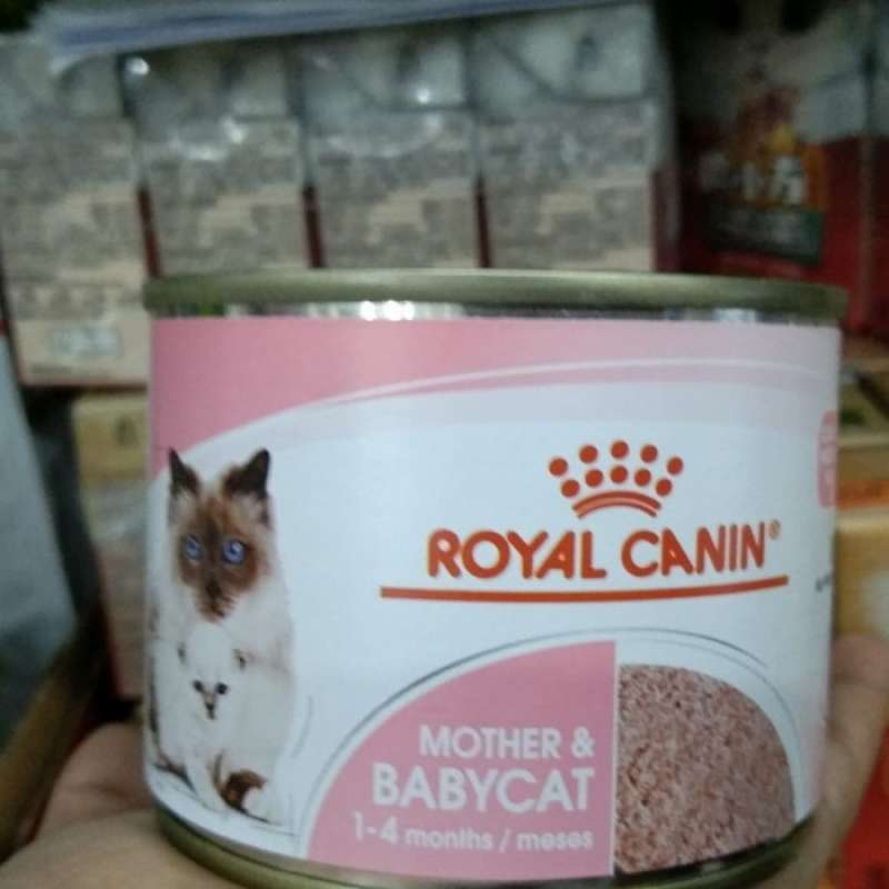 Promo [no Brand] Royal Canin Mother & Babycat Wet Food Diskon 50% Di ...