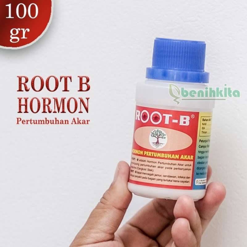 Promo Root B 100gr Hormon Pertumbuhan Akar Diskon 33% di Seller ...