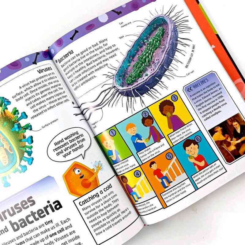 Promo Dk The Body Book Diskon 4% Di Seller Minibabycare Books - Babatan ...