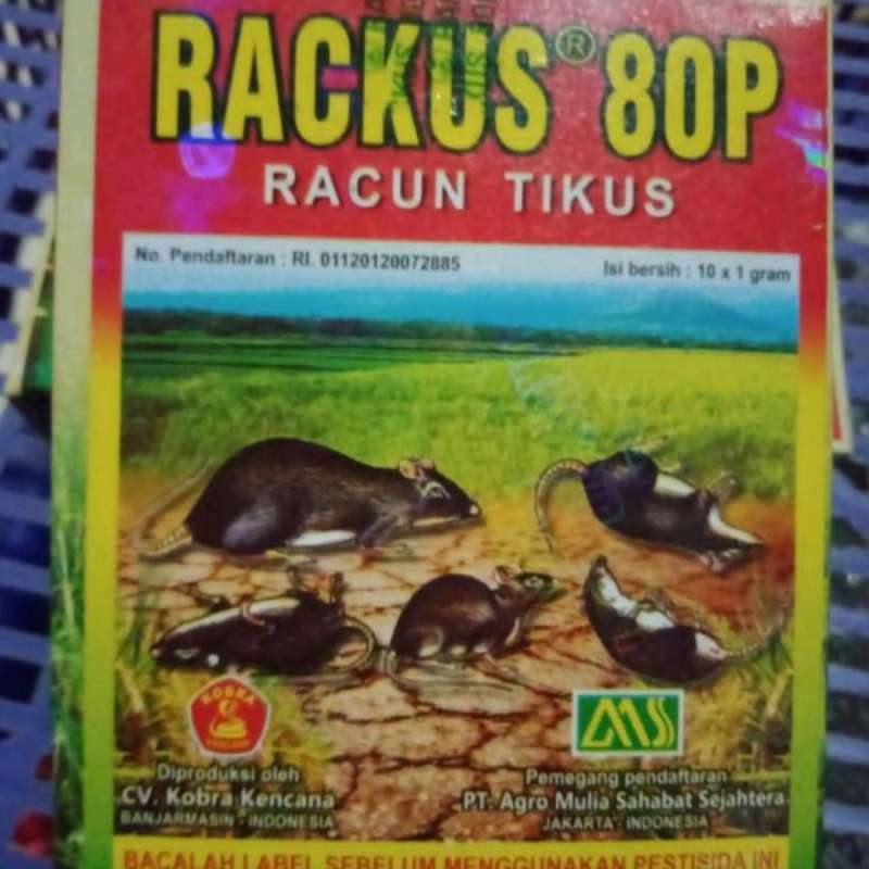 Jual Racun Tikus 80 P.super Ampuh.satu Pak Isi 10 Bungkus Kecil. Di ...