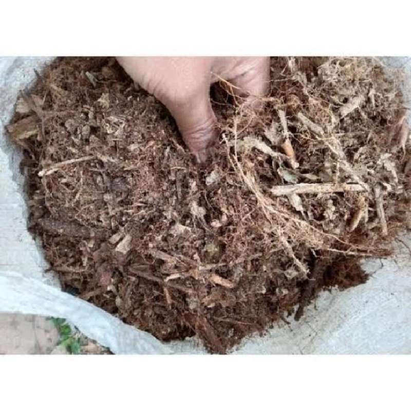 Jual akar bambu pupuk kompos kering media tanam 500 gram di Seller Faiz ...