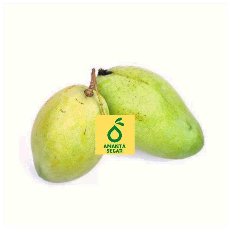 Jual Buah Mangga Budiraja Manis Segar Fresh Termurah Terlaris 1 Kg From ...