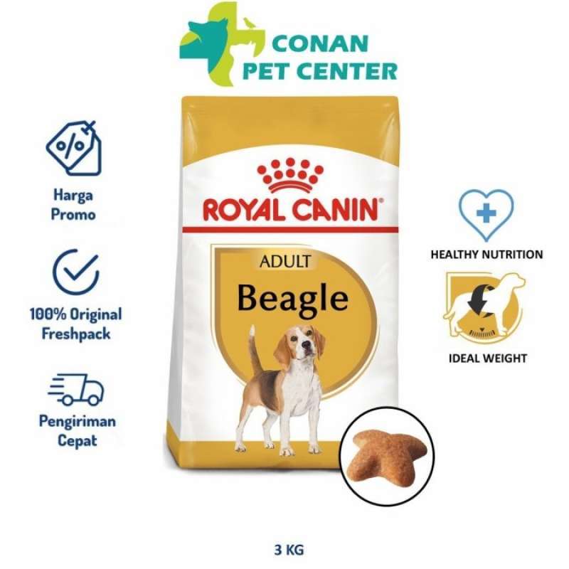 Jual Royal Canin Beagle Adult 3kg di Seller Enigma - Kapuk, Kota ...