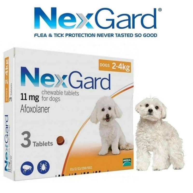 Jual Obat kutu anjing Nexgard chewable tablet di Seller Enigma - Kapuk ...