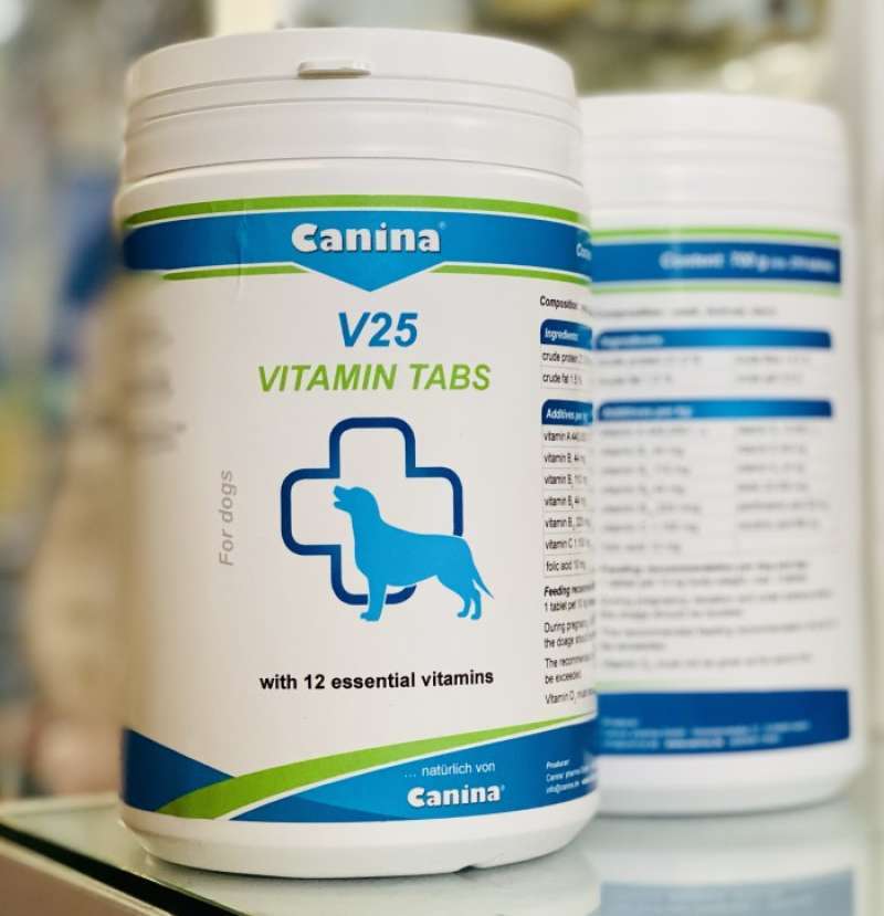 Jual Canina V25 Vitamin for dogs 210 tabs di Seller Enigma - Kapuk ...