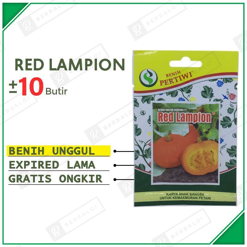 Promo Red Lampion F1 Bibit Waluh Jumbo Unggul Benih Labu Manis Hibrida ...