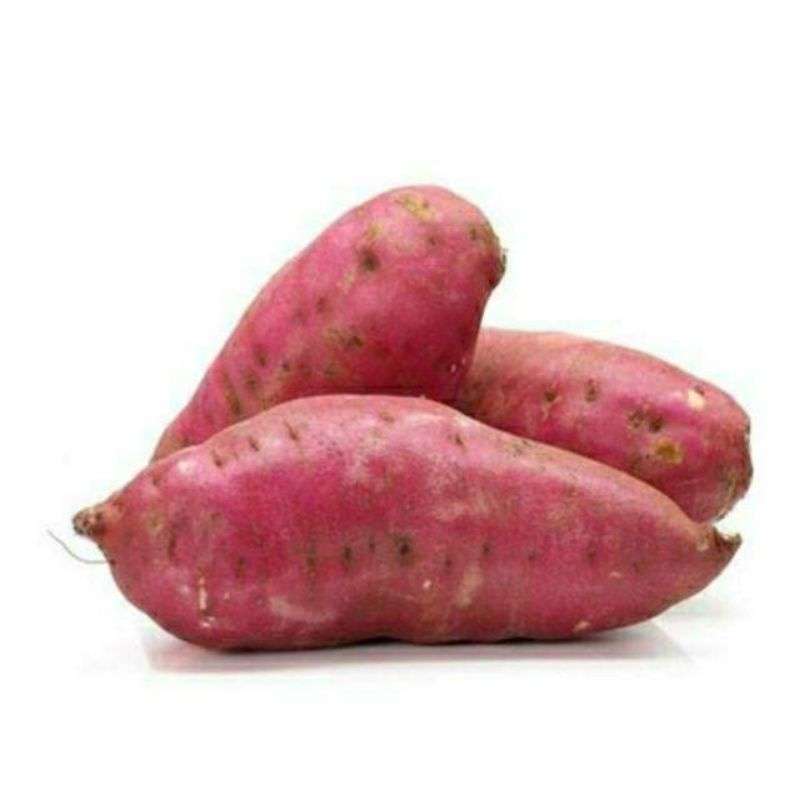 Jual Singkong/Buah Bit/Ubi Putih/Ubi Merah/Bengkoang/Ubi Ungu/Tales ... Jual Singkong/Buah Bit/Ubi Putih/Ubi Merah/Bengkoang/Ubi Ungu/Tales ...