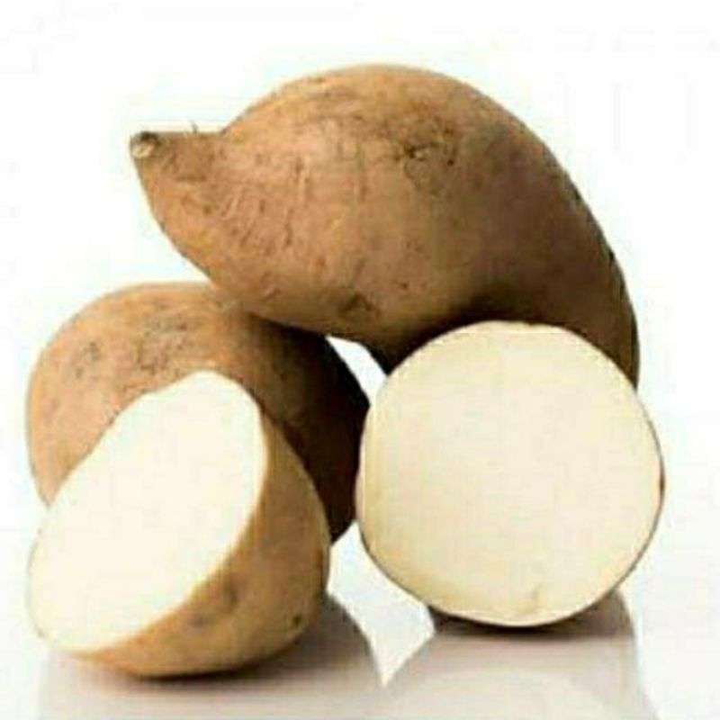 Jual Singkong/Buah Bit/Ubi Putih/Ubi Merah/Bengkoang/Ubi Ungu/Tales ... Jual Singkong/Buah Bit/Ubi Putih/Ubi Merah/Bengkoang/Ubi Ungu/Tales ...