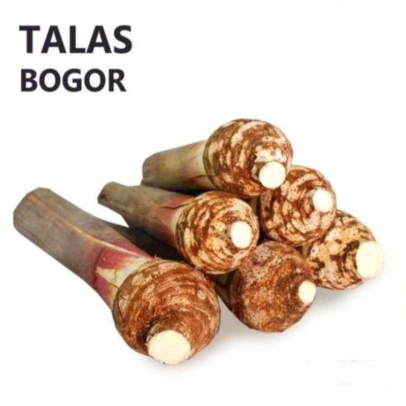 Jual Singkong/buah Bit/ubi Putih/ubi Merah/bengkoang/ubi Ungu/tales ... Jual Singkong/buah Bit/ubi Putih/ubi Merah/bengkoang/ubi Ungu/tales ...