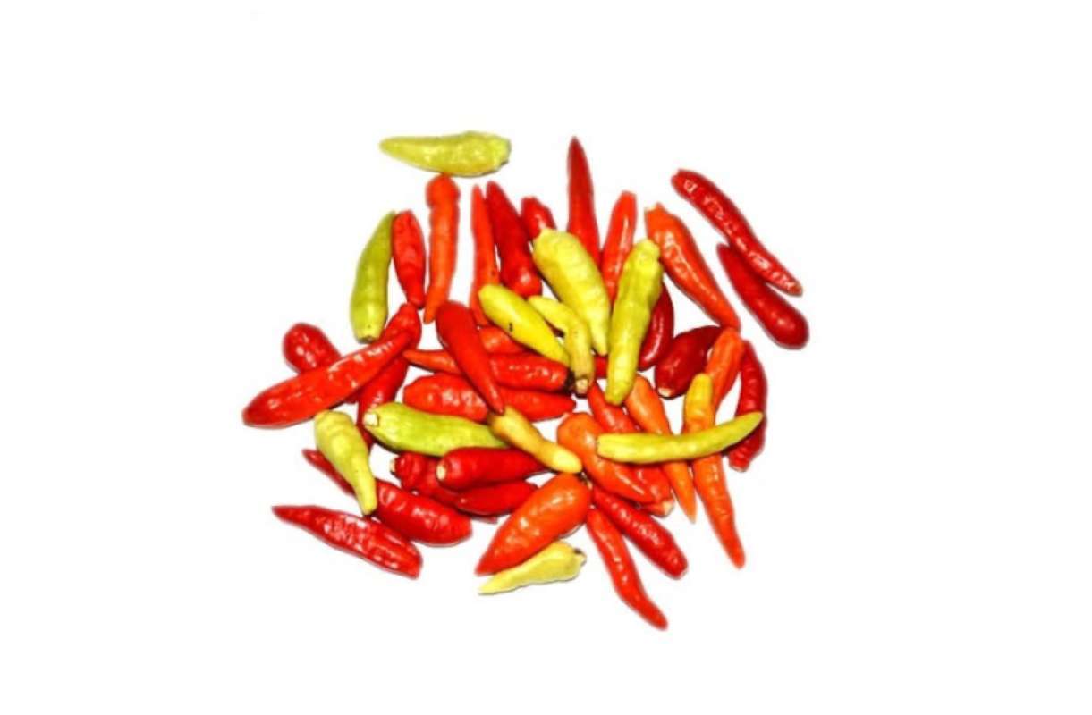 Jual SayurHD Cabe Rawit Merah 100gr Halal di Seller Sayur home delivery ...