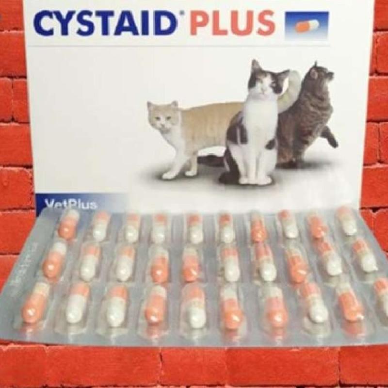 Jual Cystaid Cat Plus Per 30 Kapsul Promo 100% Original Best Seller di ...