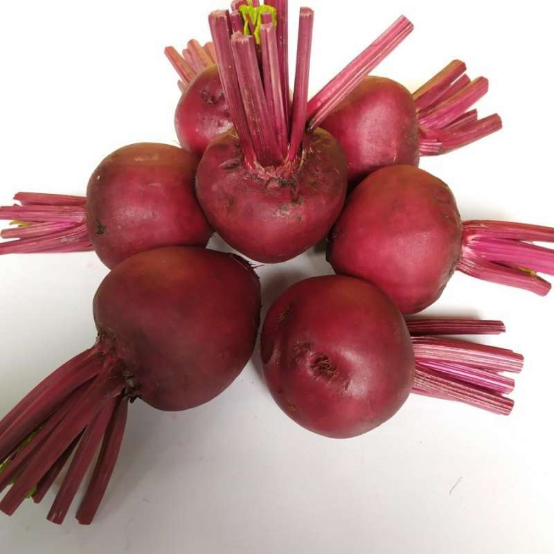 Jual Buah Bit Beetroot di Seller CMF Shop - Kota Semarang, Jawa Tengah ...