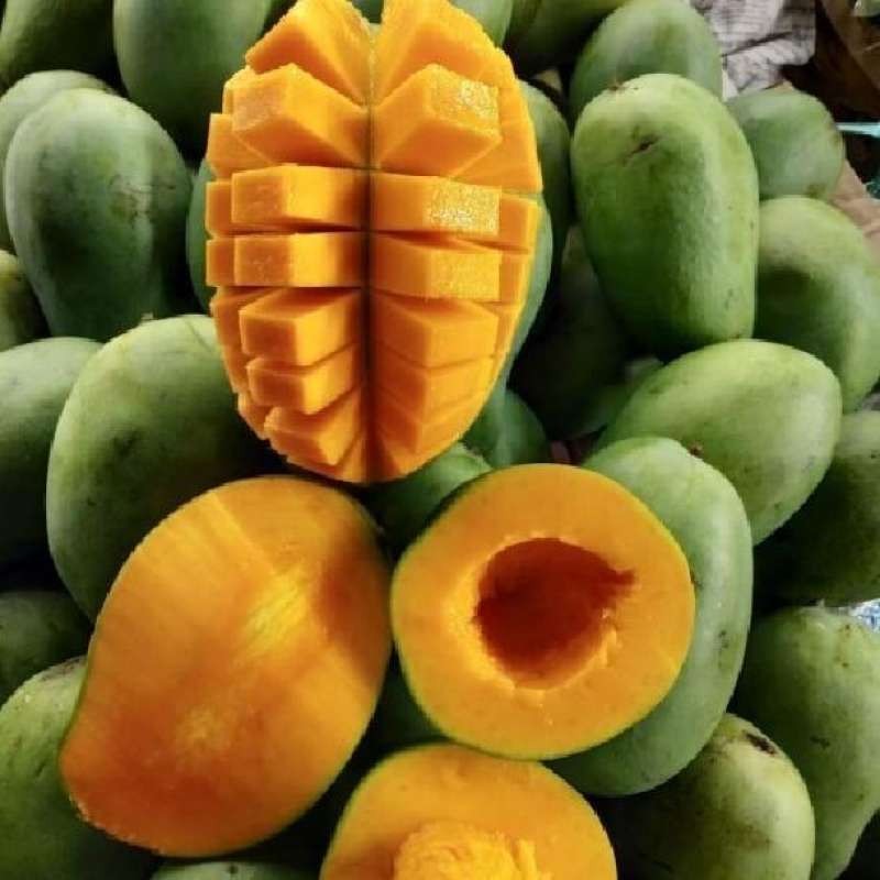 Jual Buah Mangga Alpukat Di Seller Cmf Shop - Pedalangan, Kota Semarang ...