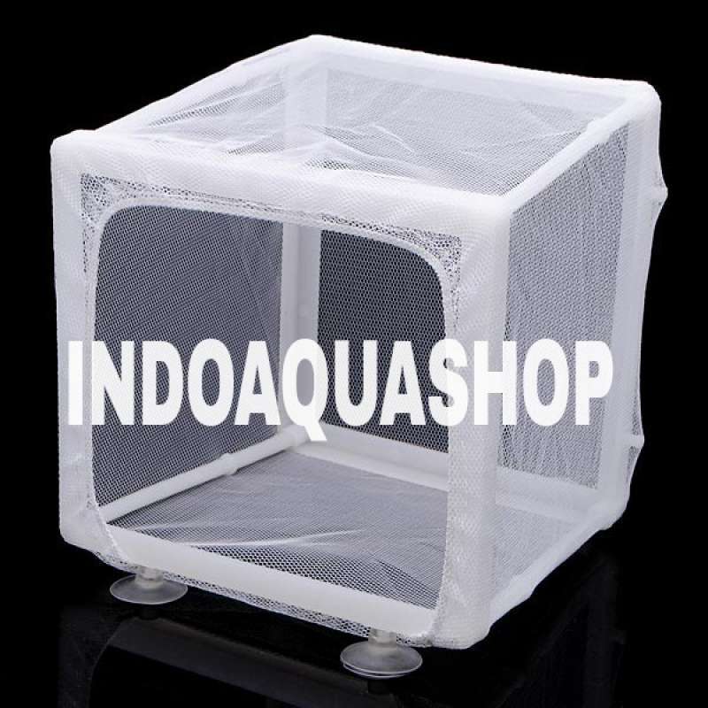 Jual Breeder Fish Net / Box Aklimasi di Seller Widya Planet Shop ...