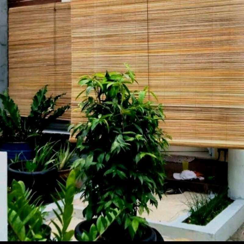 Promo Tirai bambu outdoor size 2x2 meter plus tali kerekan Diskon 40% ...