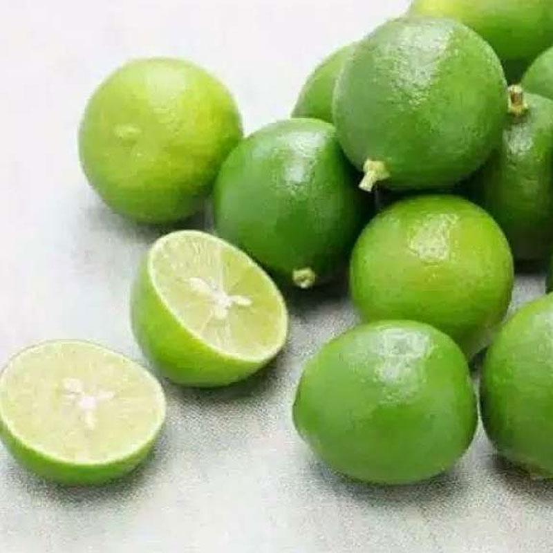 Jual Jeruk Nipis [250g] di Seller Babang store - Tagogapu, Kab. Bandung ...