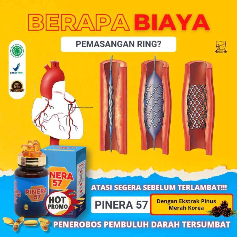 Jual Pinera 57 Ekstrak Pinus Merah Korea/ Solusi Stroke/ Diabetes ...