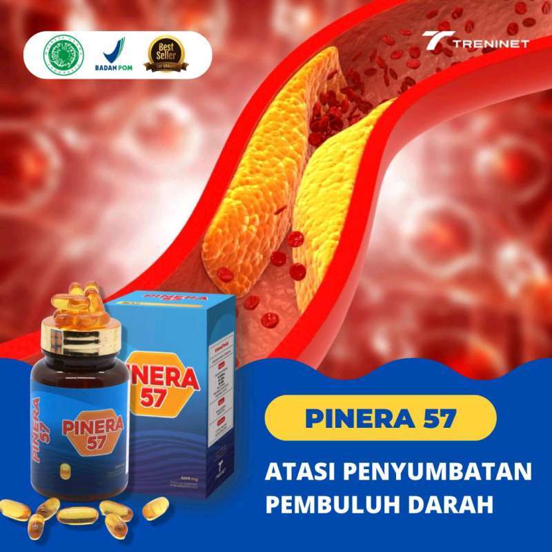 Jual Pinera 57 Ekstrak Pinus Merah Korea/ Solusi Stroke/ Diabetes ...