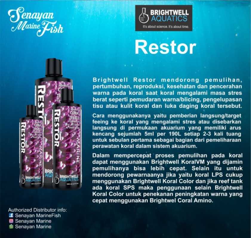 Promo Brightwell Restor + Brightwell Koral Color (Reef Color) Diskon 17 ...