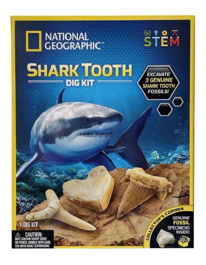 Jual NATIONAL GEOGRAPHIC Shark Tooth Dig Kit di Seller D E S I R E E ...