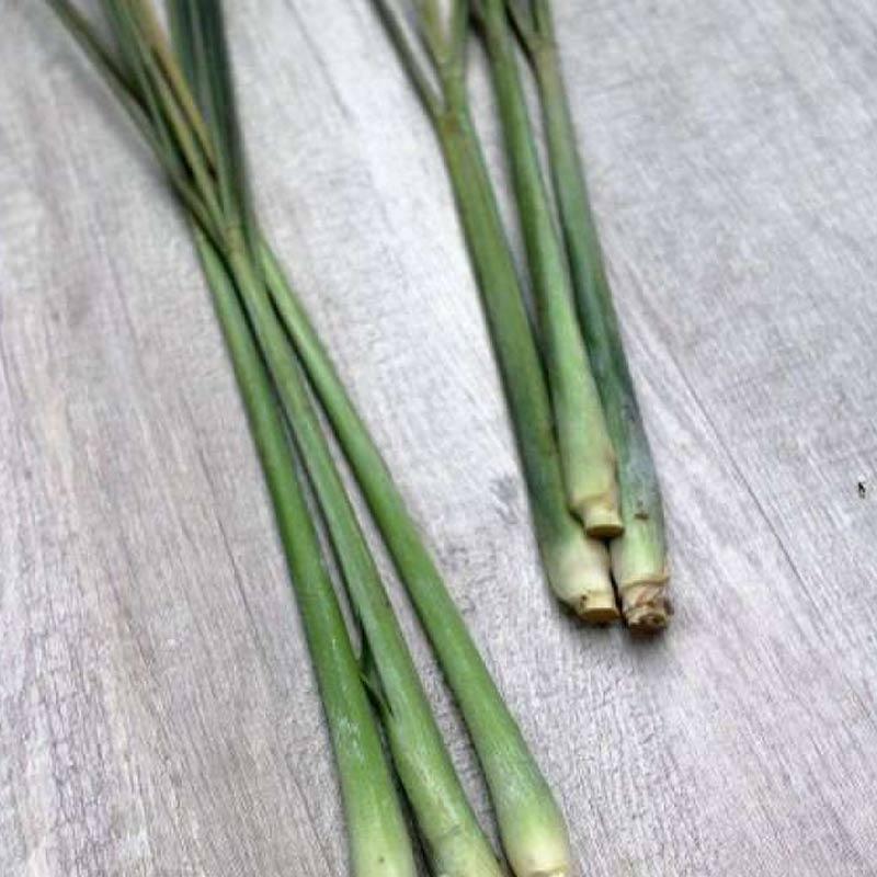 Promo Rumah Sayur Jakarta Utara Sereh (Serai) Rempah Premium [250 g ...