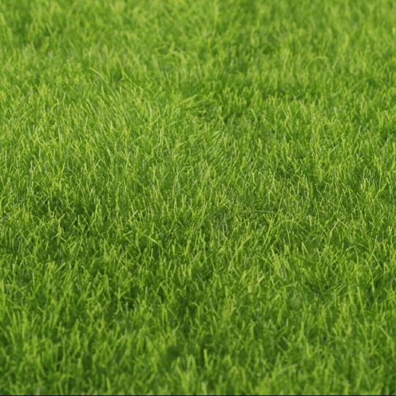 Jual Rumput Sintetis Rumput Palsu 30x30 Cm Artificial Grass Landscape ...