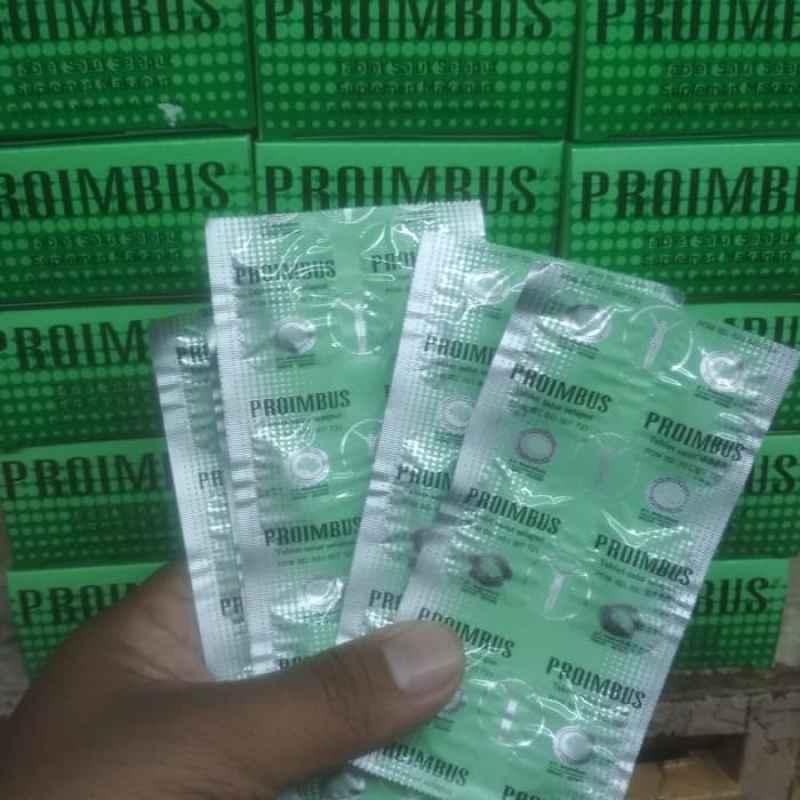 Promo Roche Proimbuus Bok Obat Kesehatan [30 Kaplet] Diskon 17% di ...