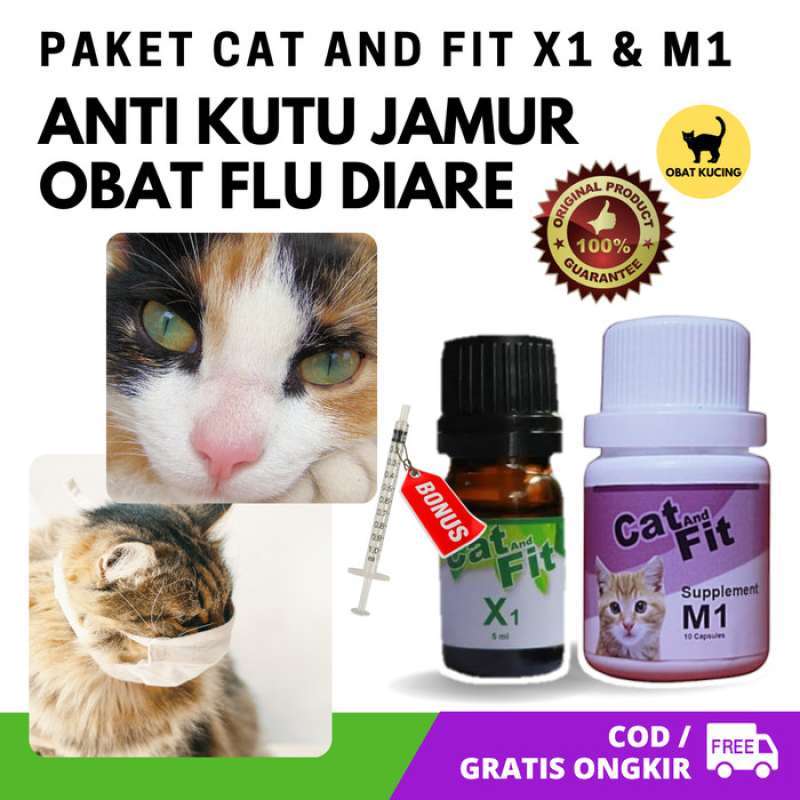 Promo PAKET Cat And Fit X1 dan M1 Obat Kucing Scabies Kutu Jamur Flu ...