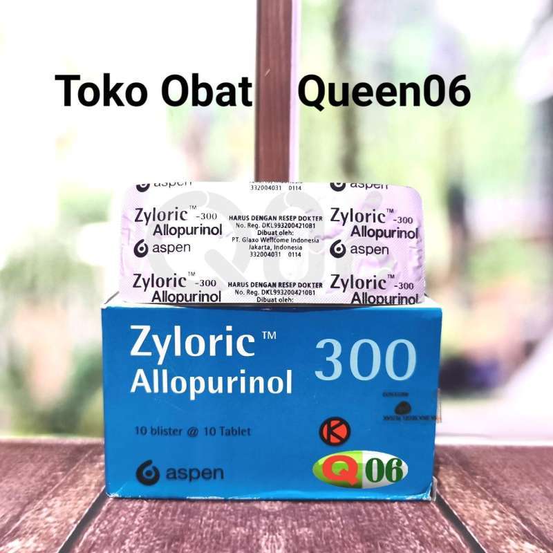 Jual Zyloric 300 Mg Allopurinol Obat Asam Urat - Per Blister ORIGINAL ...