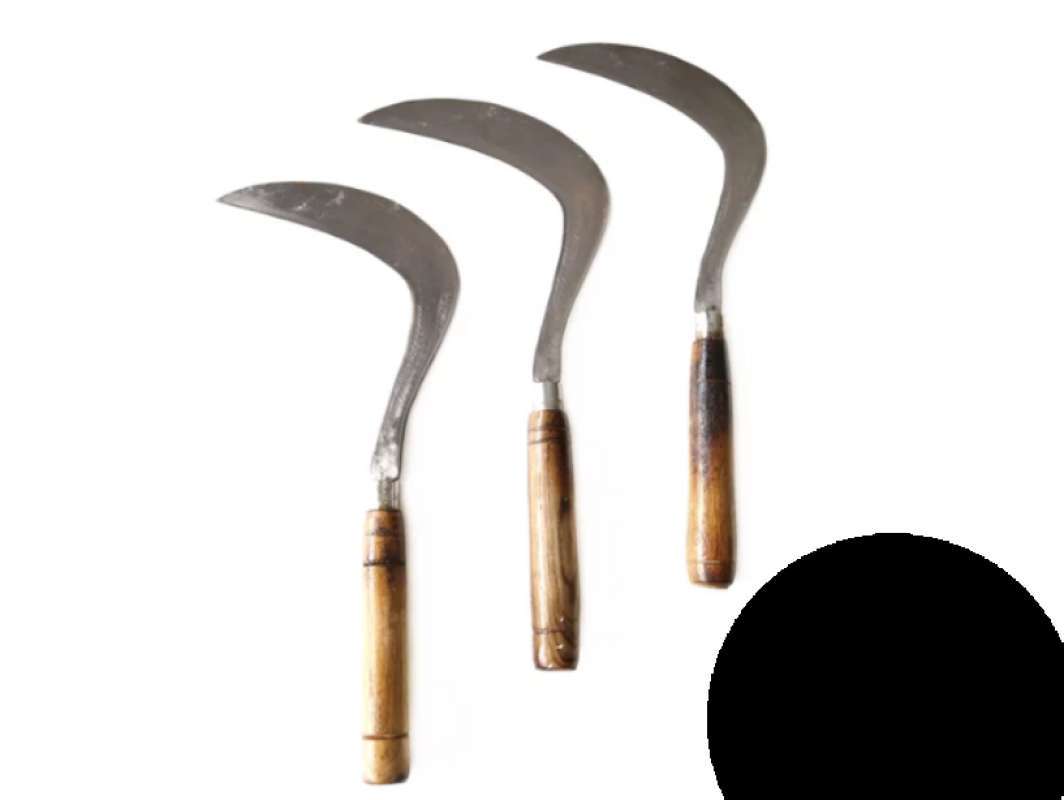 Jual Sabit Arit Rumput Bahan Baja di Seller Aseli Gunungkidul ...