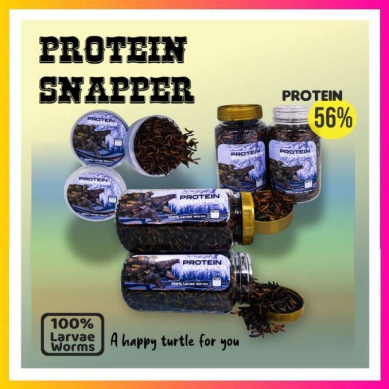 Promo Makanan Kura-Kura Protein Snapper Ulat Ulet Hongkong Kering Kura ...