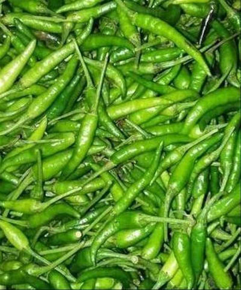 Jual Hasilsumberalam Cabai Cabe Rawit Hijau Ijo Petik Green Bird's Eye Chili 250 Gr - 1 Kg Di ...