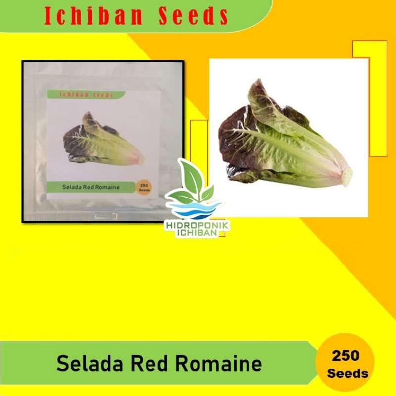 Jual Benih bibit biji SELADA RED ROMAINE kemasan alumunium foil di Seller ...