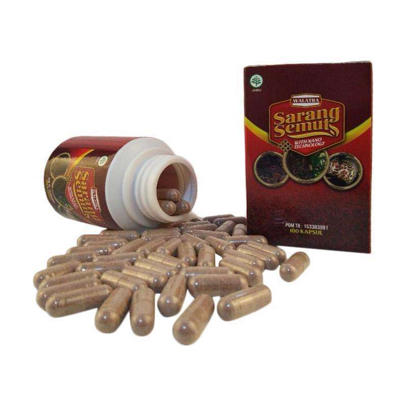 Jual Sarmucare Sarang Semut Papua - Obat Jantung Koroner, Bengkak ...