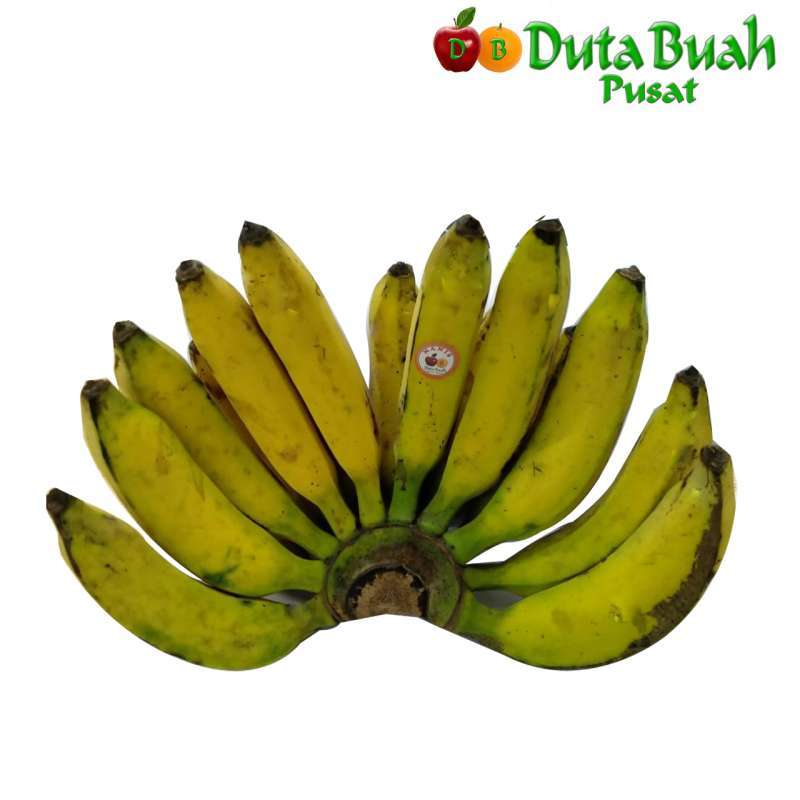 Jual DUTA BUAH Pisang Raja Bulu (1kg-1.5kg/pcs) di Seller Duta Buah ...
