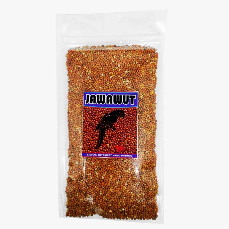 Jual BIJI JEWAWUT ORGANIC PILIHAN BIJI KUNYIT JUWAWUT SEKOI MILET ...