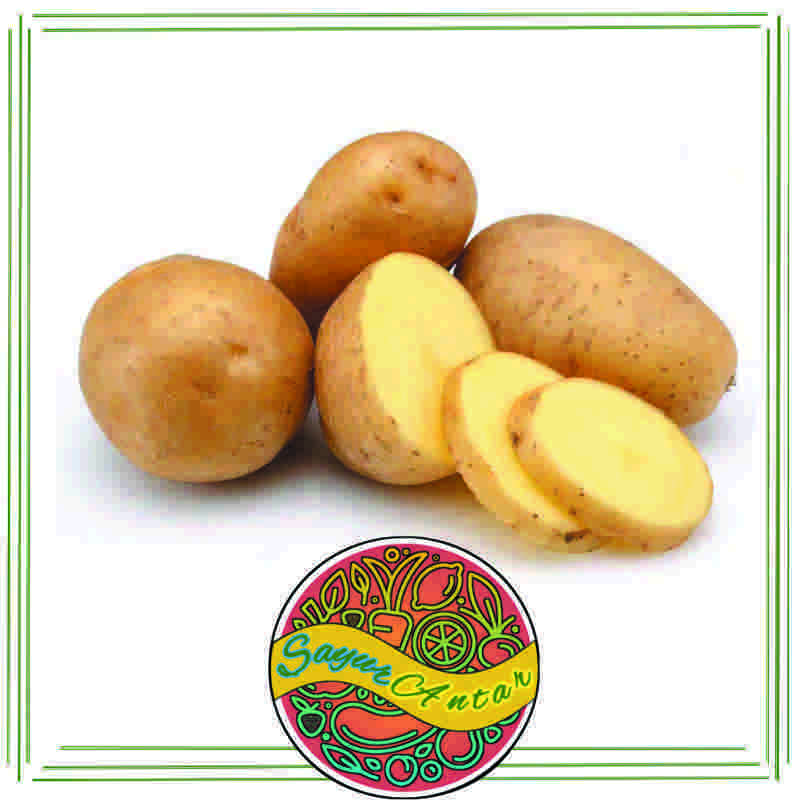 Jual Kentang Besar [ 1 Kg ] Halal di Seller sayurantar - Kembangan ...