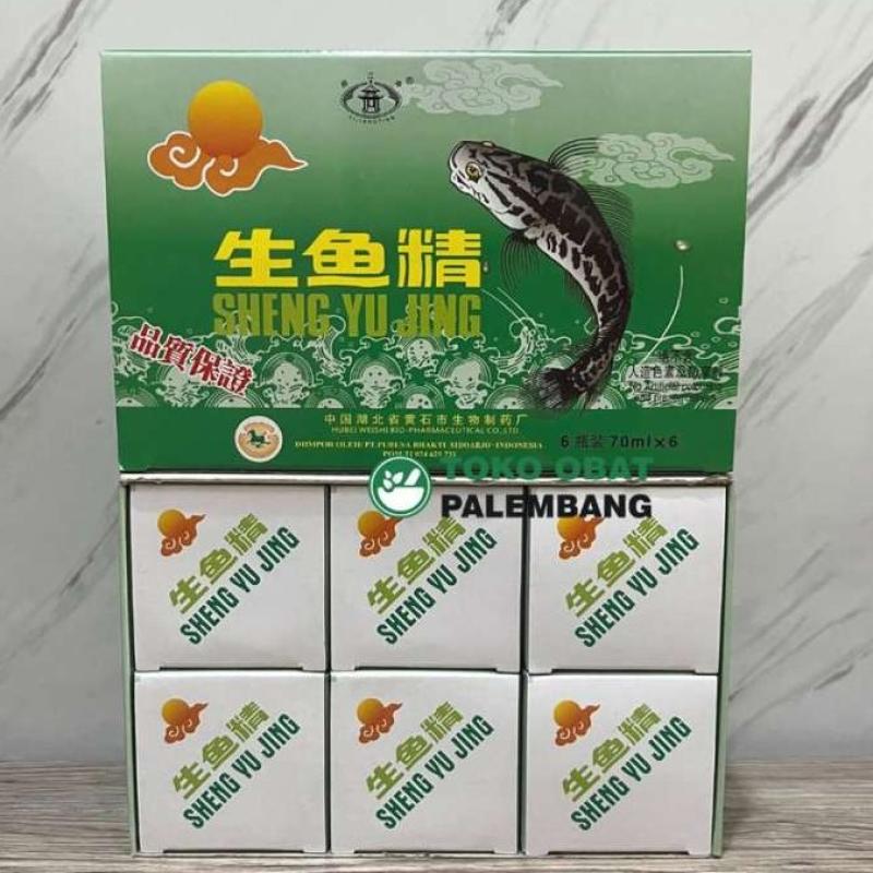 Jual SHENG YU JING 6 BOTOL SARI IKAN GABUS KUTUK SHENGYUJING CHANNA ...