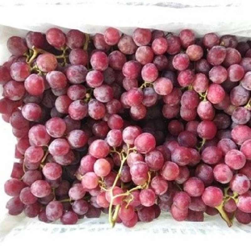 Jual Anggur Red Globe RRT China | Buah Anggur China di Seller TokoNayya ...