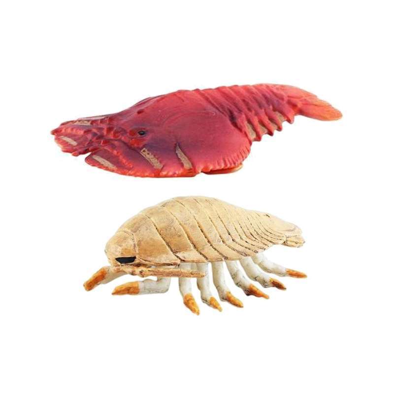 Jual 2 Realistic Sea Creatures Toys Educational For Collection Squilla ...