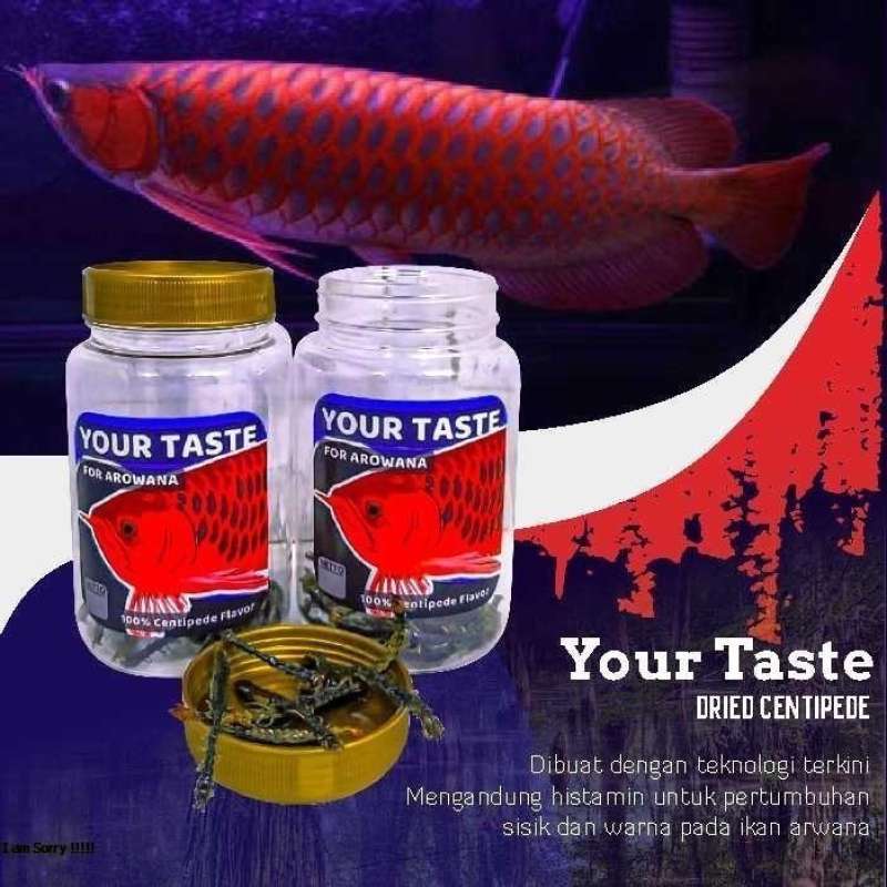 Jual Pelet Pakan Makanan Ikan Arwana Your Taste Kelabang Kering ...