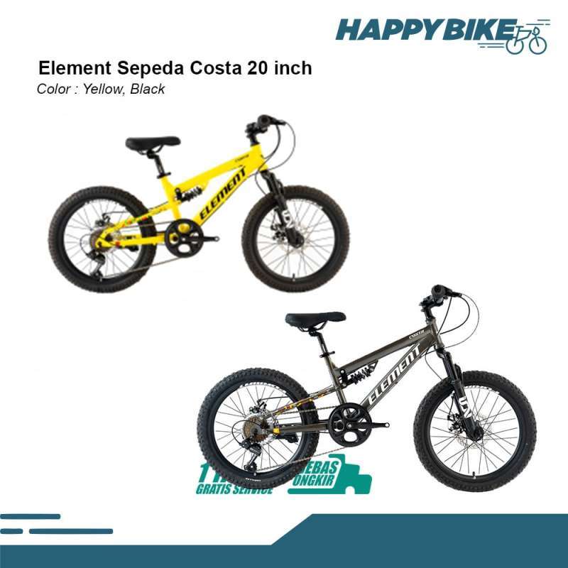 Jual Element Sepeda Mtb Edisi Costa 20 Inch Di Seller Tokohappybike ...