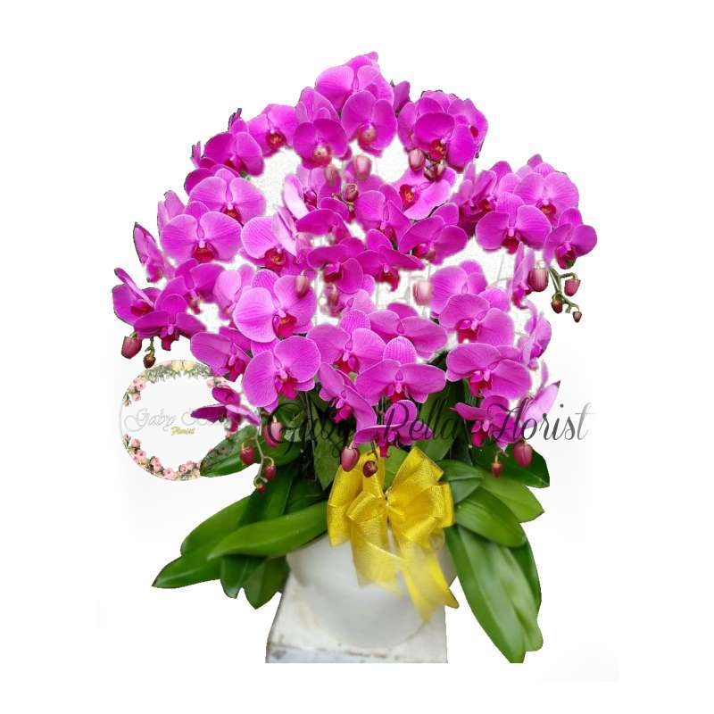 Jual Table Flower – 612 Bunga Meja Anggrek Bulan Bunga Cantik Bunga ...