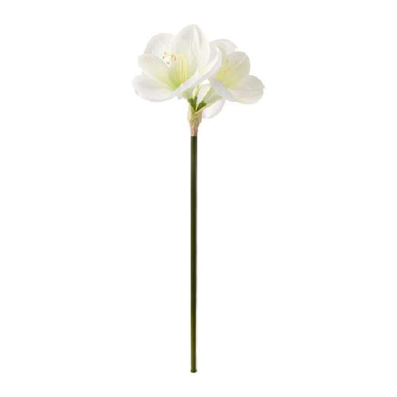 Jual Ikea Bunga Tiruan Dalam luar Ruang Amaryllis - Putih di Seller ...