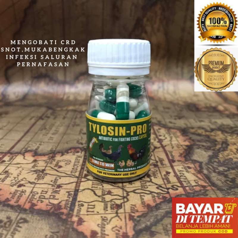 Jual Obat crd ngorok snot pada ayam tylosin isi 30capsul di Seller ...
