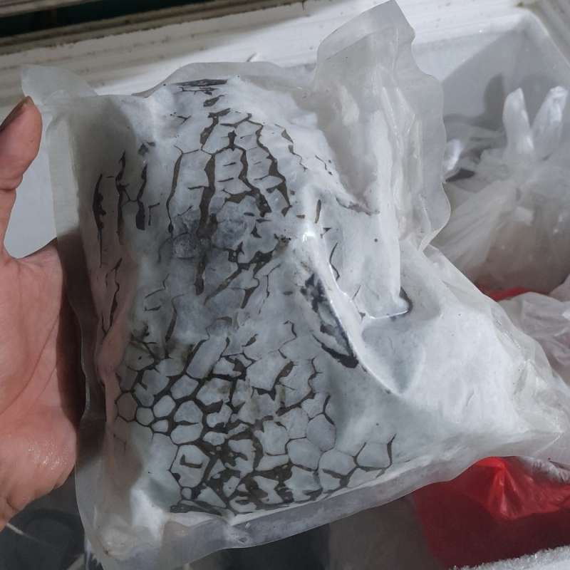 Jual Babat Kantong Sapi Sarang Tawon Hitam / Abu Abu - 500gr Di Seller ...