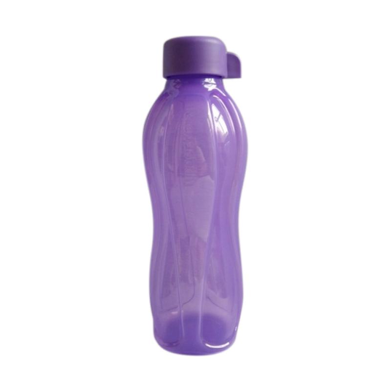 Jual Tupperware Eco Bottle Botol Minum - Purple [500 mL] di Seller D ...