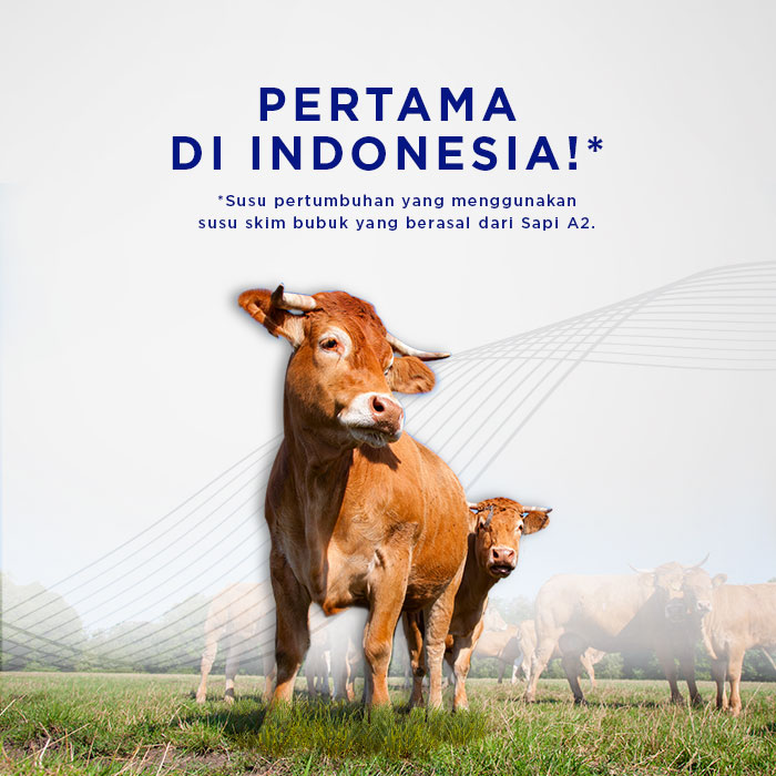 Promo S-26 Procal Ultima Susu Formula [850 G] Diskon 13% Di Seller S26 (wyeth) Store - Gudang ...