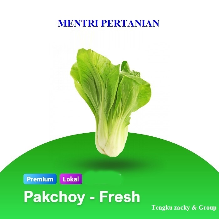 Jual Sayur Pakcoy / Pakchoy Segar 250 gram Halal di Seller Mentri ...