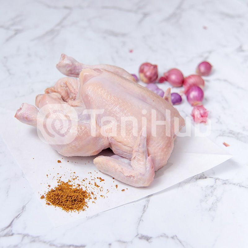 Jual Ayam Broiler Karkas Frozen [800 G] Di Seller Kakilima.shop ...